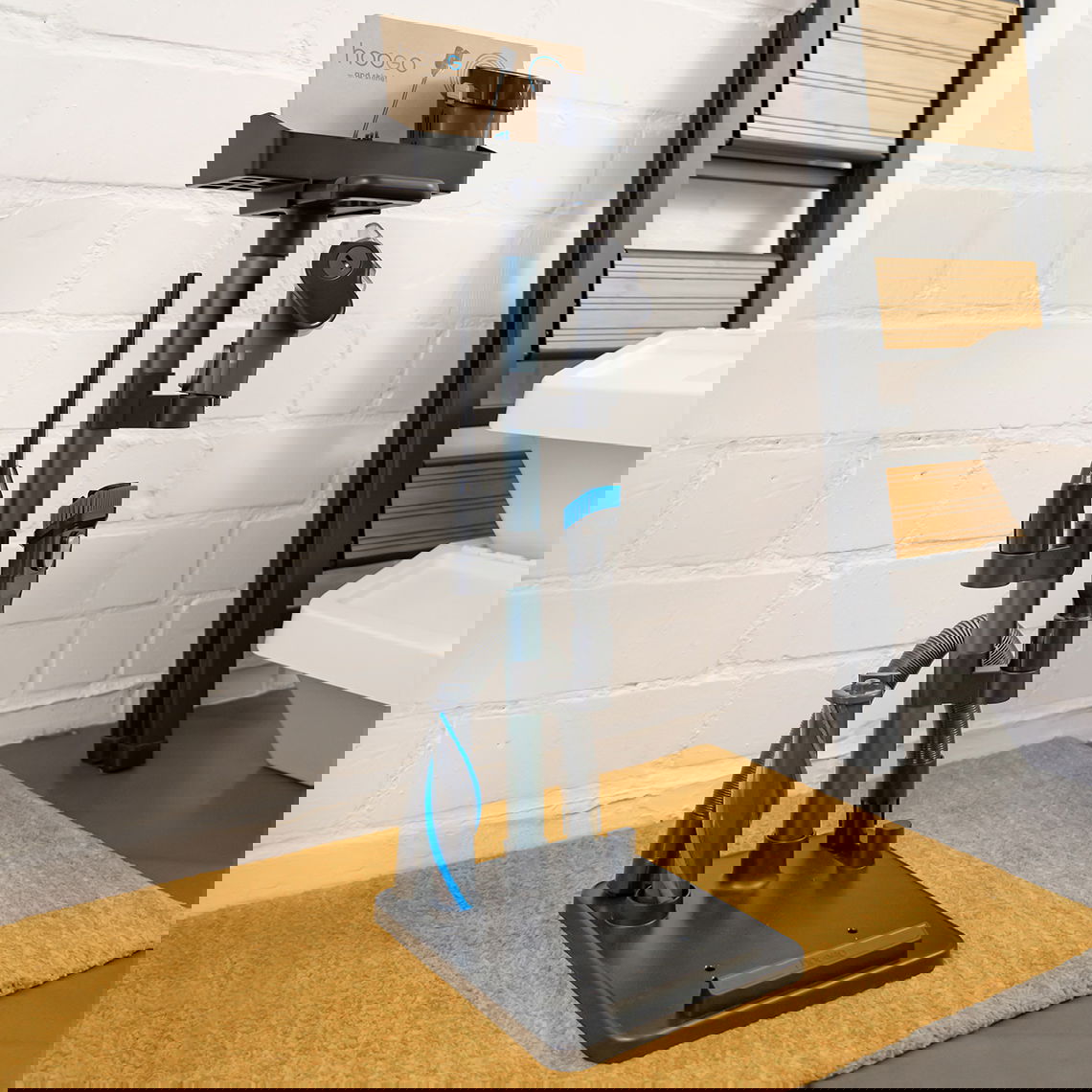 Die besten Staubsauger ihrer Klasse | hoogo … and shine!